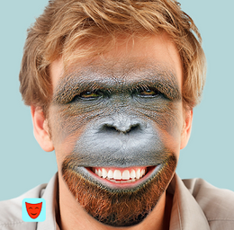 Face Swap APK indir - Android indirVip