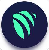 Argo VPN APK indir Android Uygulaması - indirVip